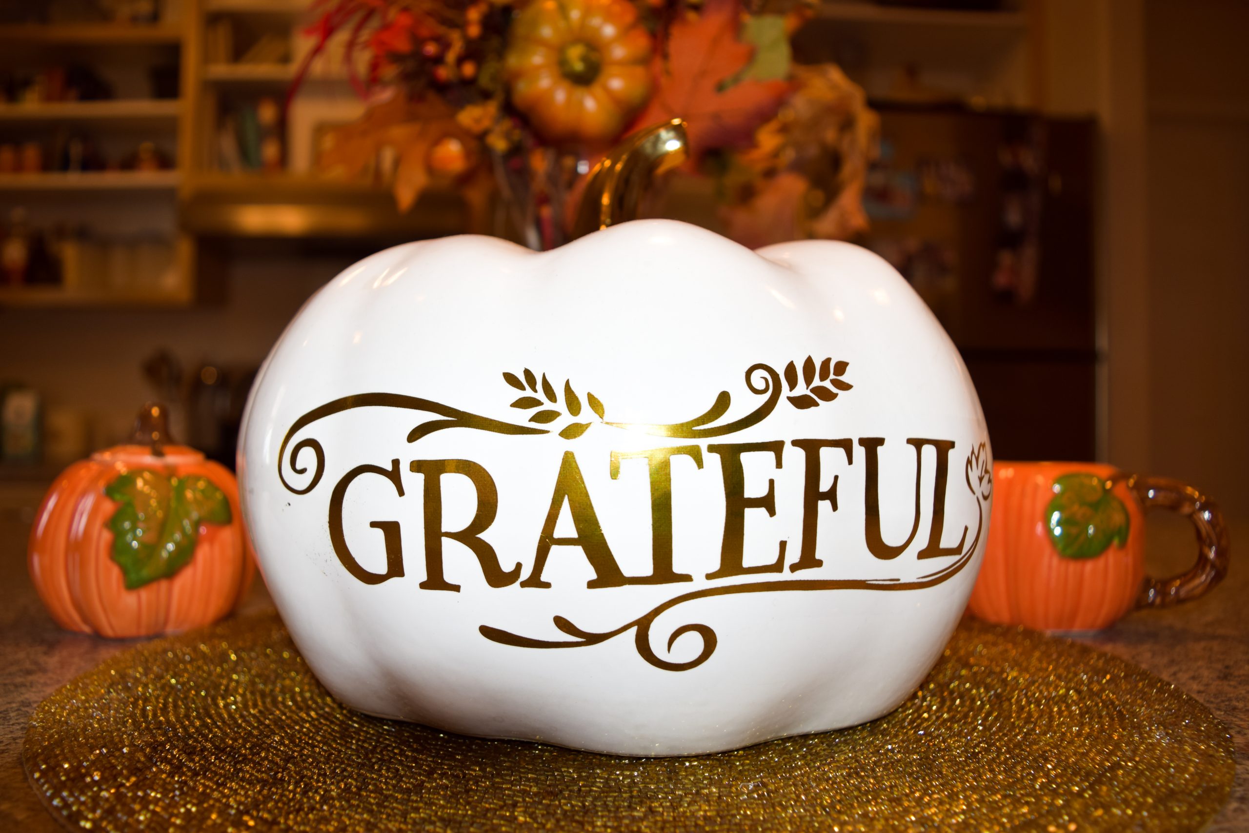 A Biblical Thanksgiving - Treasures in the Word